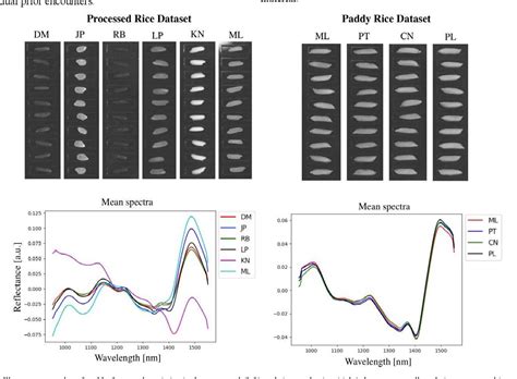Figure 3 From Rice Quality Prediction Using Convolution Neural Network Semantic Scholar