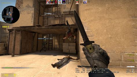 Bunch Of Hows In My Cs Carrier R Franzj