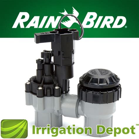 Rain Bird 100 Asvf Series Valves Irrigation Depot