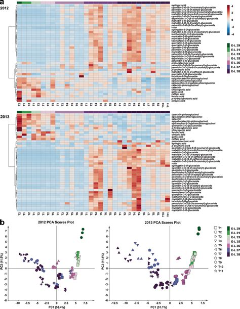Heatmap Visualization Of Hierarchical Clustering Analysis B And Score Download Scientific