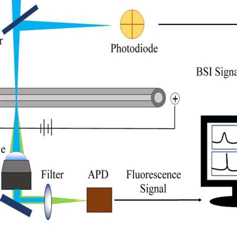 Schematic Of The Dual Detection HSCE Platform Using A Single Laser Download Scientific Diagram