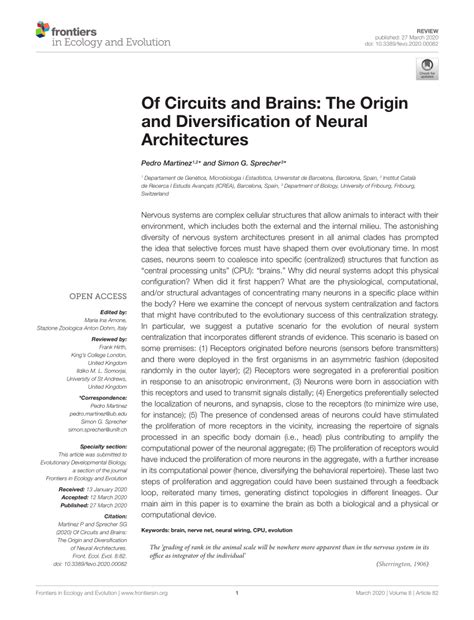 Pdf Of Circuits And Brains The Origin And Diversification Of Neural Architectures