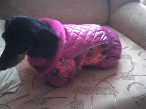 Домик для таксы своими руками (72 фото) - картинки sobakovod.club