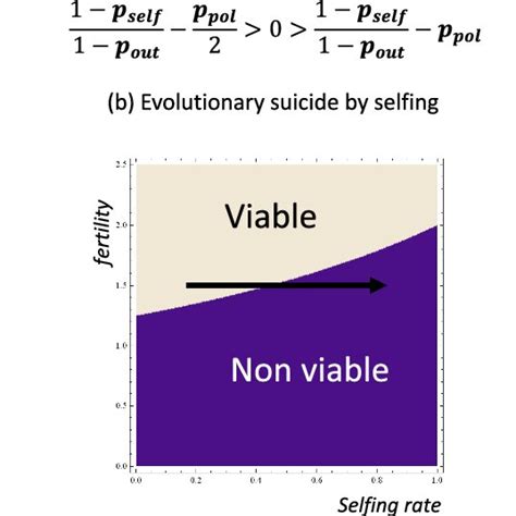 Deterministic Demographic Scenarios And Evolution Of Mating System Download Scientific Diagram