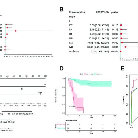 Internal Validation Of Prognostic Models With Clinicopathological Download Scientific Diagram