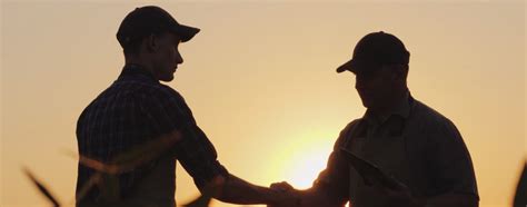 Flex Template The Delong Co Inc