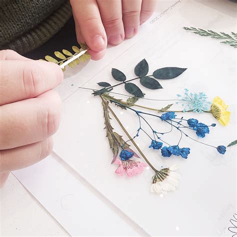 Video Pressed Flower Collage Class And Kit Assembly Craft Studio