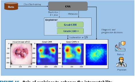 Figure 15 From An Interpretable Skin Cancer Classification Using Optimized Convolutional Neural