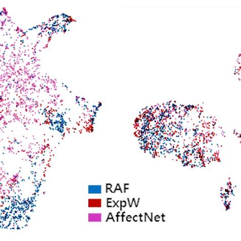 Class Distribution Of Raf Expw And Affectnet Datasets Blue Training
