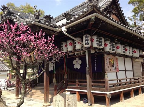 大利神社 神社検索の日本神社