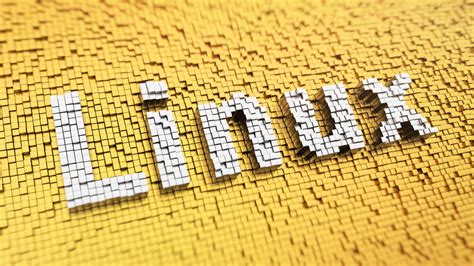 Linux Dig Command How To Install It And Use It Cloudns Blog