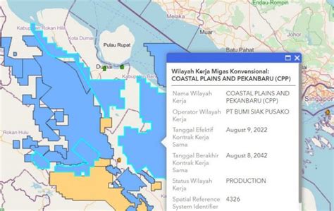Skk Migas Lakukan Investigasi Meledaknya Sumur Di Cpp Block Sumur