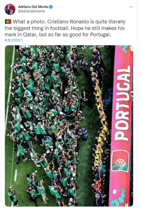 포르투갈 벤치 앞에 취재진 200명…호날두 못 뛰어도 존재감 톡톡 엑스포츠뉴스 나무뉴스