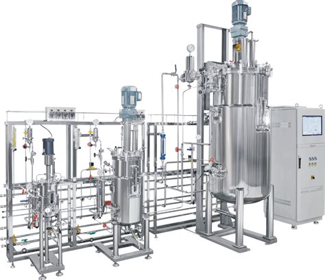 Laboratory Fermentor Bio Fungi Bacteria Fermentation Reactor Continuous Stirred Tank Bioreactor