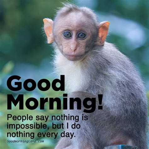 Good Funny Pics