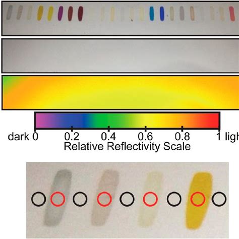 photographic image of a colorimetric sensor array for artwork