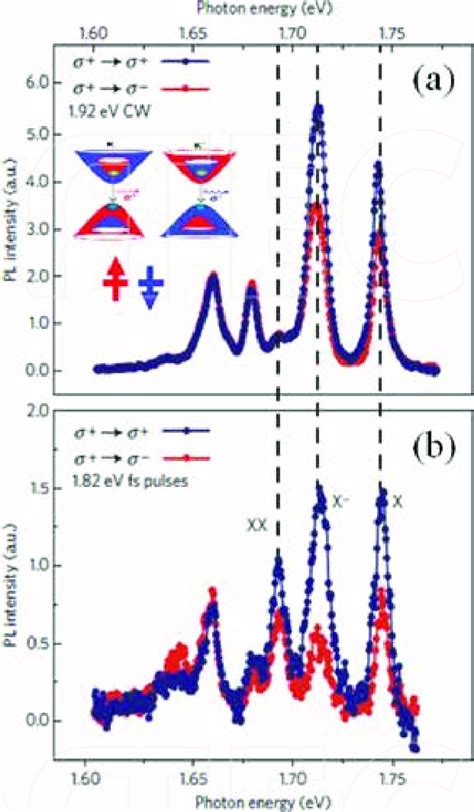 Circularly Polarized Photoluminescence Pl Spectra Of Monolayer Wse 2 Download Scientific