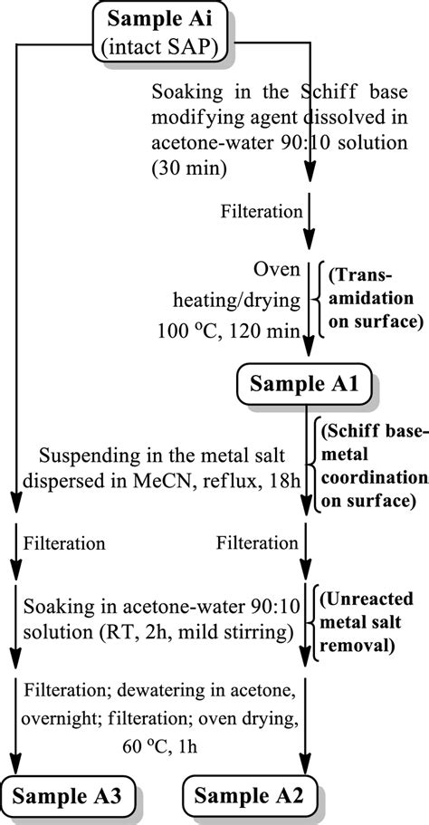 General Pathways Of The Sap Surface Modification Download Scientific Diagram