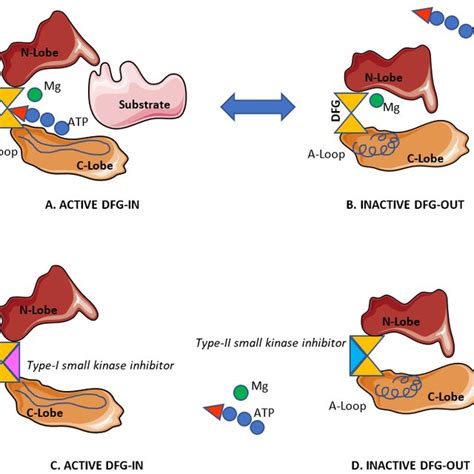 Receptor Tyrosine Kinase Rtk Subfamilies Classification Based On Download Scientific Diagram
