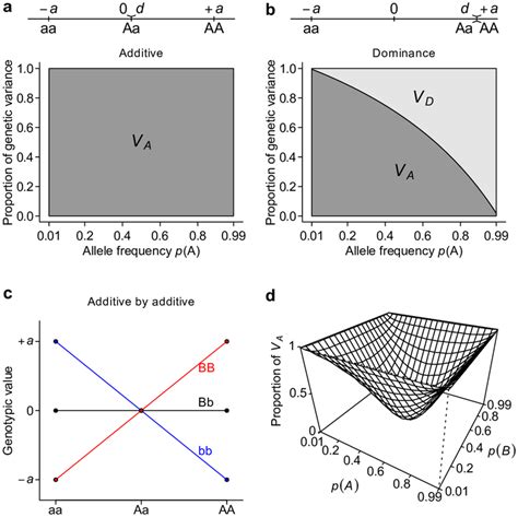 Additive Genetic Variance Va Is A Major Determinant Of Total Genetic