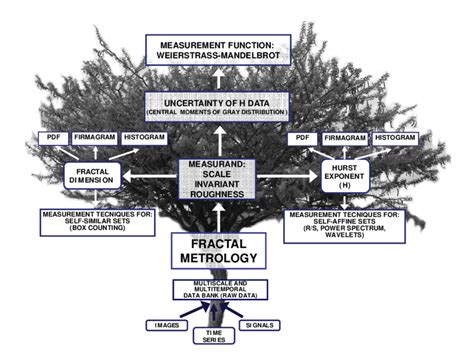 Hierarchically Organized Fractal Metrology Construction Download Scientific Diagram