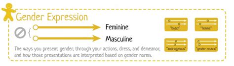 Category Equity The Siren