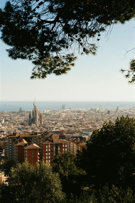 갈색 머리 갈색 머리 여자 건축 관광 관광지 관찰 기념품 높은 경치 도시 경관 도시 전망 도시 파노라마 도시 풍경 도시의 뒷모습 랜드마크 맑은 날