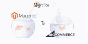 Heres Why Migration From Magento To BigCommerce Can Be Good For You Dit India