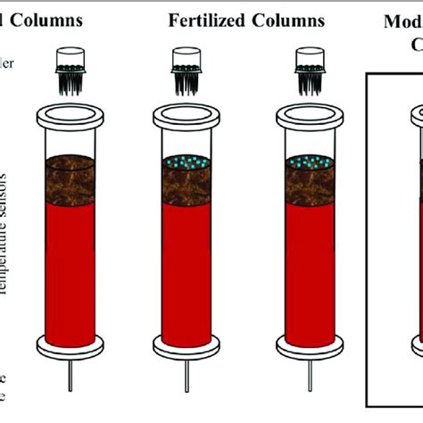 Schematic Showing The Two Control Columns Unfertilized And Two
