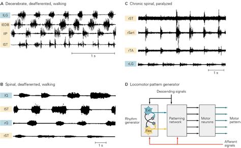 Best Way To Control Current Amplitude Pulse Width And Pulse Frequency Help Wanted