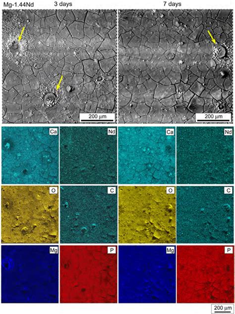 Sem Micrograph Showing The Corrosion Morphology With Corresponding Eds