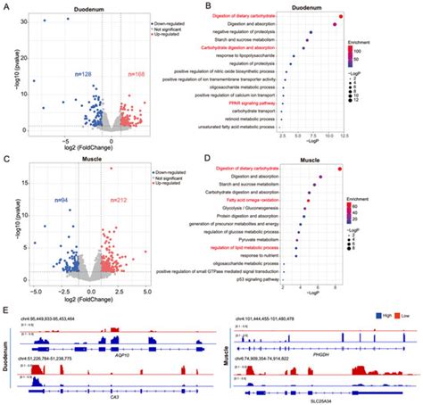 Genes An Open Access Journal From Mdpi