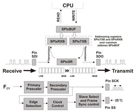Introduction Spi Module MIKROE