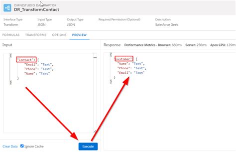 Dataraptors In Omnistudio Salesforce Geek