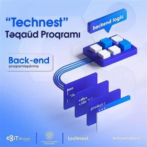 technest itbrains backend hamid baydamirov