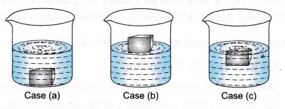 NCERT Class Science Lab Manual Density Of Solid CBSE Tuts