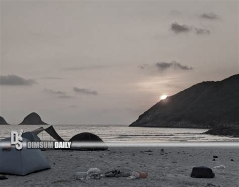 1 1sai Wan Campsite Dimsum Daily