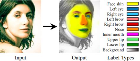 Face Parsing Use Cases And Open Datasets