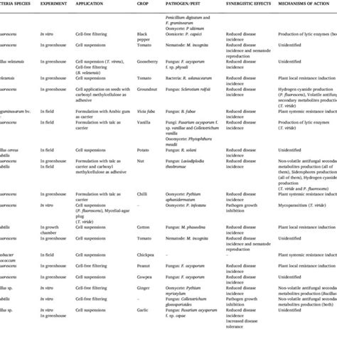 Pdf Combined Use Of Trichoderma And Beneficial Bacteria Mainly Bacillus And Pseudomonas