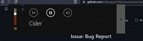 Bug Function Keys Dont Work Properly On Windows 10 · Issue 449 · Ciderappcider · Github