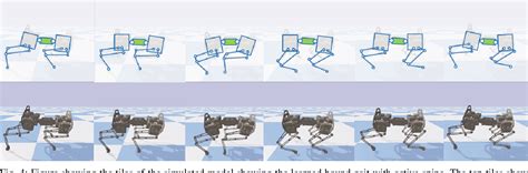 Learning Active Spine Behaviors For Dynamic And Efficient Locomotion In
