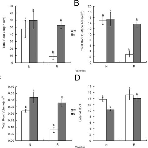 Variations In The Total Root Length A Total Root Surface Area B Download Scientific