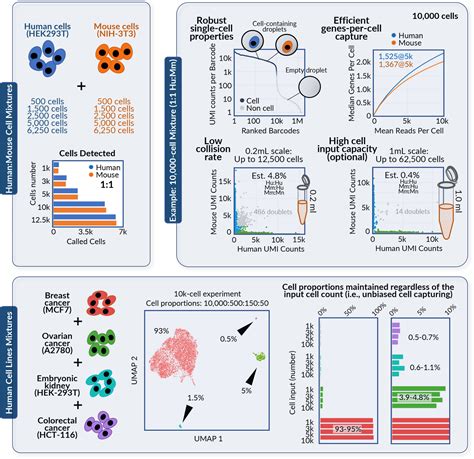 Amplidrop Single Cell Library Technology Universal Sequencing Technology