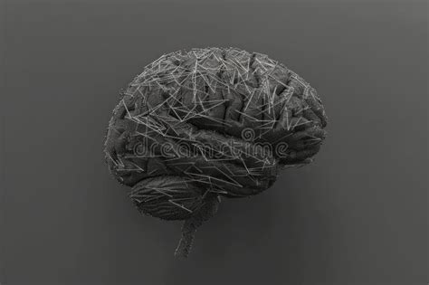A 3d Rendering Of A Human Brain With A Network Of White Lines Etched Into Its Surface Stock