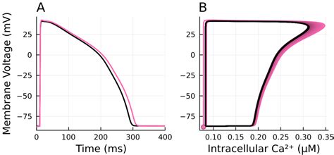 논문 리뷰 Continuation Methods As A Tool For Parameter Inference In Electrophysiology Modeling