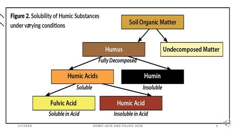 Humic Acid And Fulvic Acid Pptx