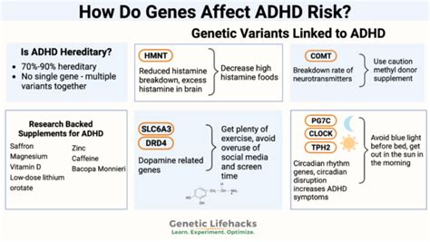 Adhd Causes Neurochemistry And How To Check Your Genetic Raw Data
