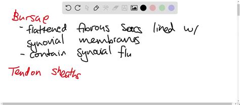 Compare The Structure Function And Common Body Locations Of Bursae And Tendon Sheaths Numerade