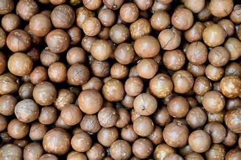 Macadamia Nuts Texture Background Fresh Natural Shelled Raw Macadamia