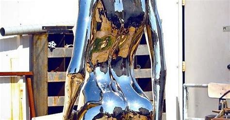 Just A Woman In Chrome Imgur